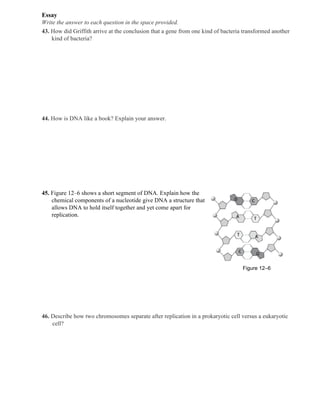 Chapter 12 Test | PDF