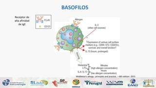 TEST DE ACTIVACION BASOFILO en alergia.pptx