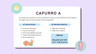 Test de Capurro , escala para mejorar la valoración | PDF