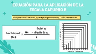 TEST DE CAPURRO B.pdf