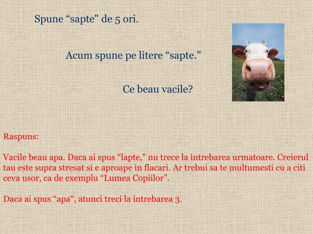 Test De Memorie | PPT