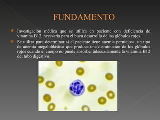 Test De Schilling | PPT