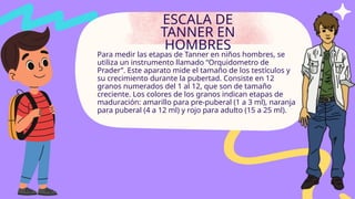La escala de Tanner o estadios de Tanner o escala de madurez sexual ...