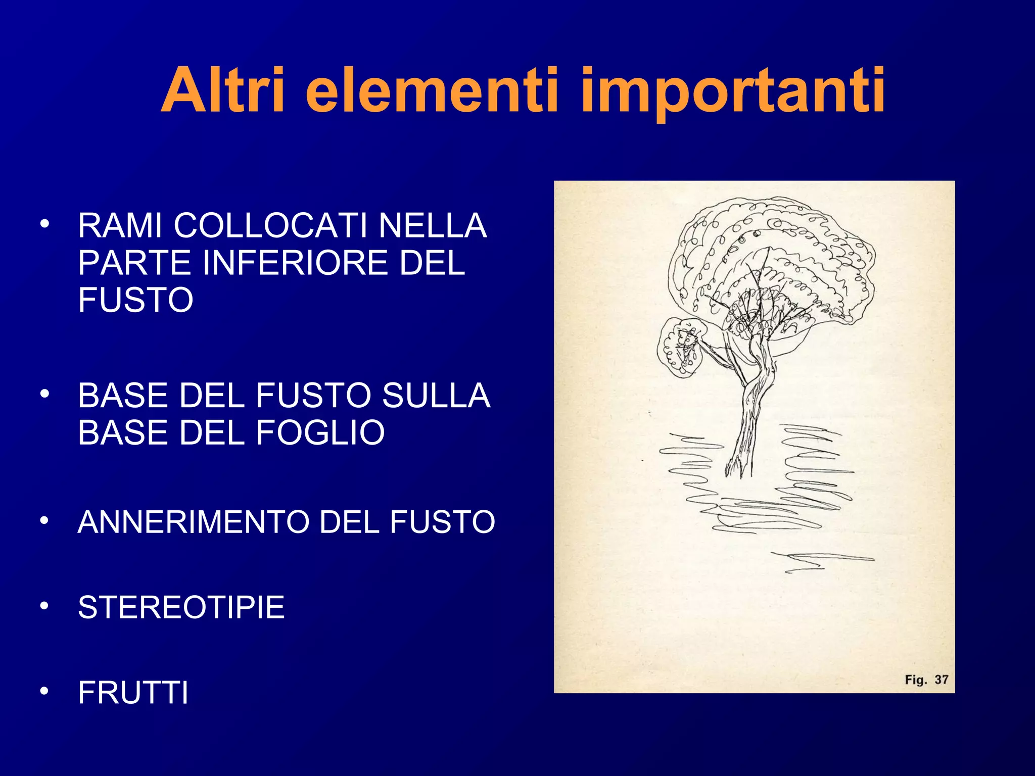 Test disegno v | PPT