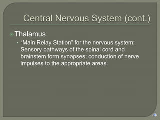 Part 1: Neurological history and physical | PPTX | Brain and Nervous ...