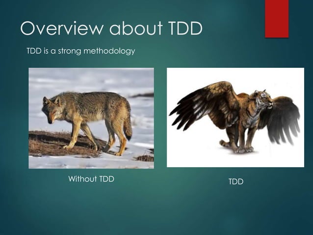 TDD - Test Driven Development | PPTX
