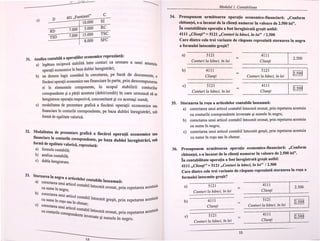 TESTE GRILA CONTABILITATE.pdf