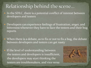 Tester vs. Developer | PPTX | Technology & Computing