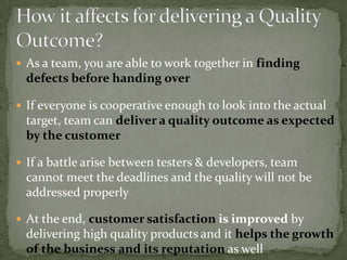 Tester vs. Developer | PPTX | Technology & Computing