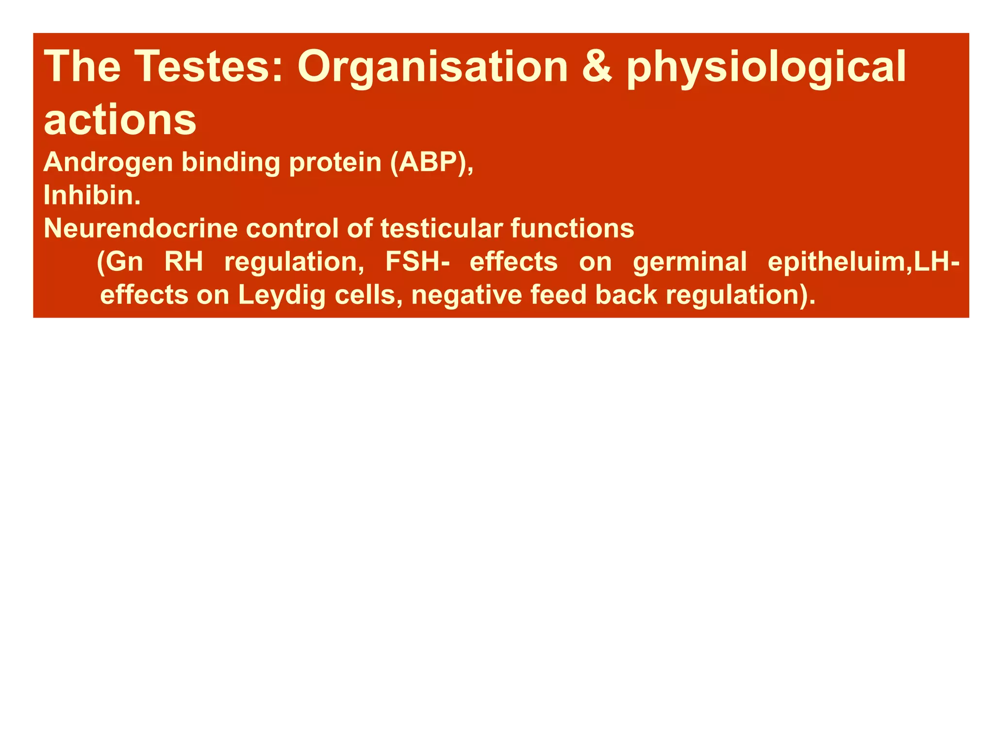 Testes: structure & endocrine function | PDF