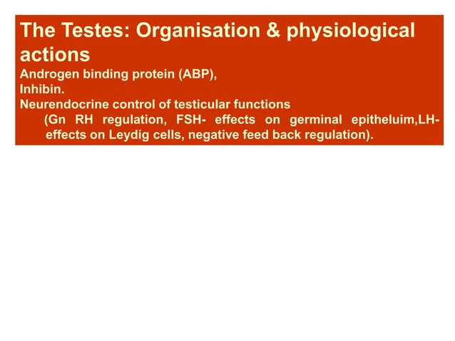 Testes: structure & endocrine function | PDF
