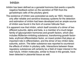 Testes: structure & endocrine function | PDF