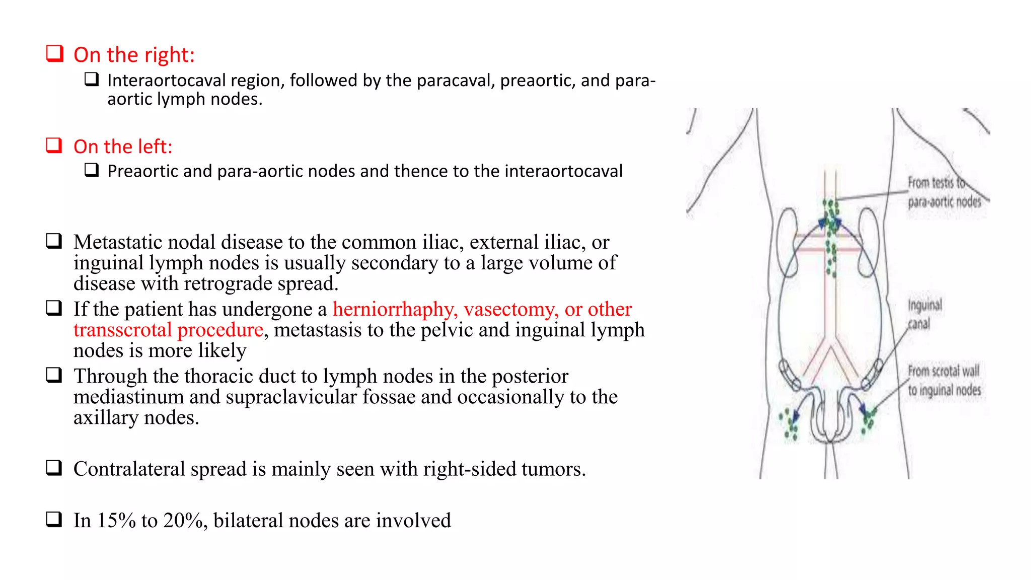 TESTICULAR CANCERS | PPTX