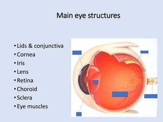 Test eye structure | PPTX