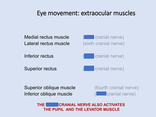 Test eye structure | PPTX