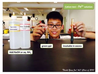 Test for Cations (QA) | PPTX
