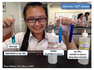 Test for Cations (QA) | PPTX