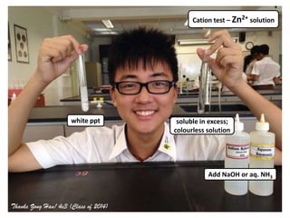 Test for Cations (QA) | PPTX