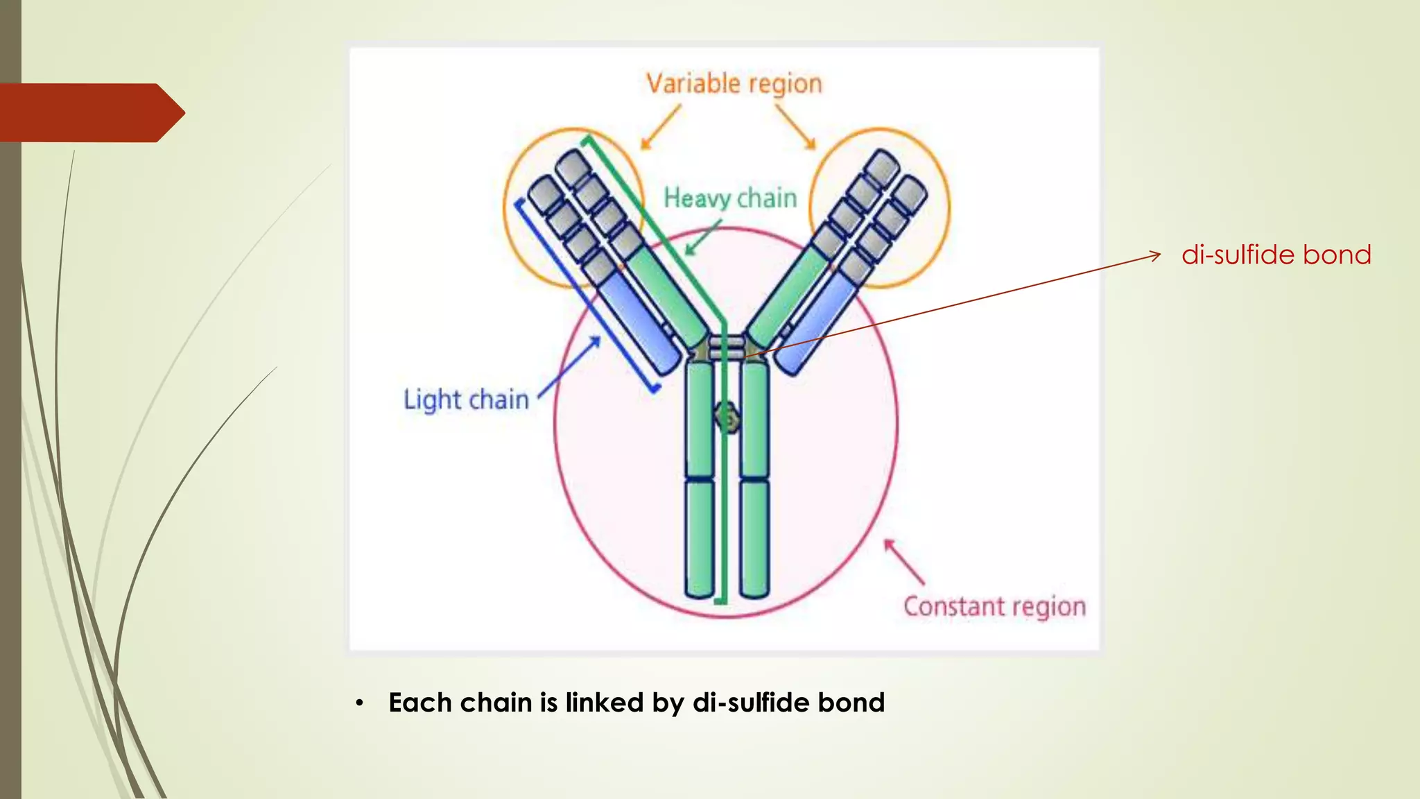 Test for detection of plant virus by ELISA test.pdf