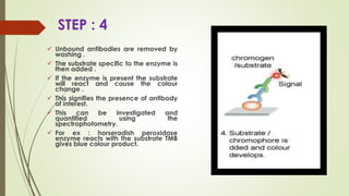 Test for detection of plant virus by ELISA test.pdf