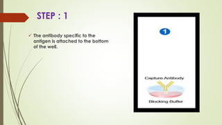 Test for detection of plant virus by ELISA test.pdf