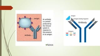 Test for detection of plant virus by ELISA test.pdf