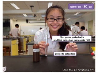 Test for Gases (QA) | PPTX