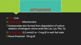 Test for ketone bodies, bile salts and.pptx
