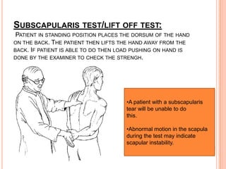 Tests for shoulder joint | PPTX