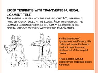 Transverse Ligament Test