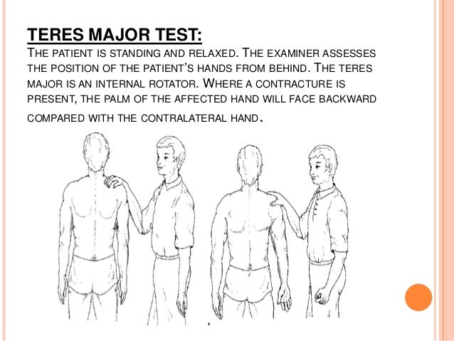 Tests for shoulder joint