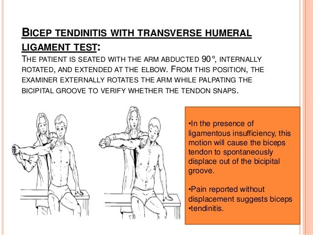 Tests for shoulder joint