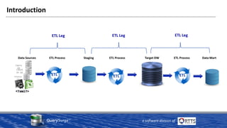 Creating a Project Plan for a Data Warehouse Testing Assignment | PDF