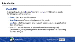 Creating a Project Plan for a Data Warehouse Testing Assignment | PDF