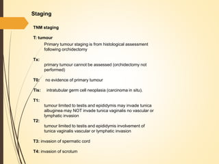 imaging of Testicular malignancies | PPTX