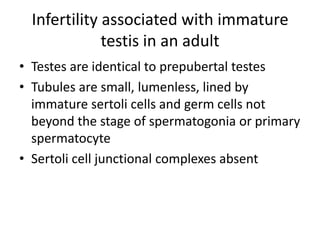 Testicular biopsy | PPTX