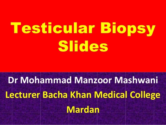 Testicular Biopsy Slides
