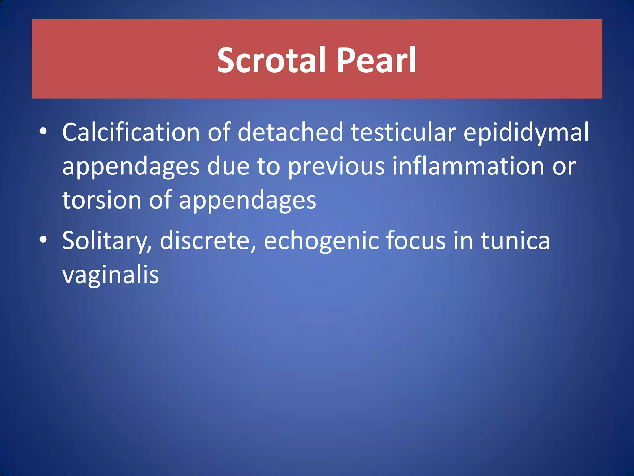 Testicular calcifications | PDF