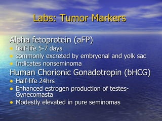 Testicular Cancer | PPT