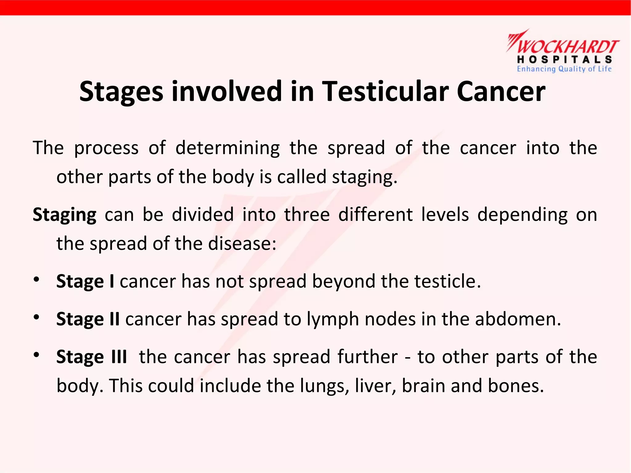Testicular cancer | PPT