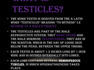 Testicular cancer for public awareness by Dr Rubz | PPTX