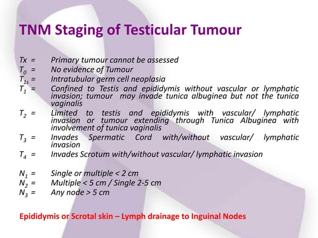 TESTICULAR CANCER.pptx