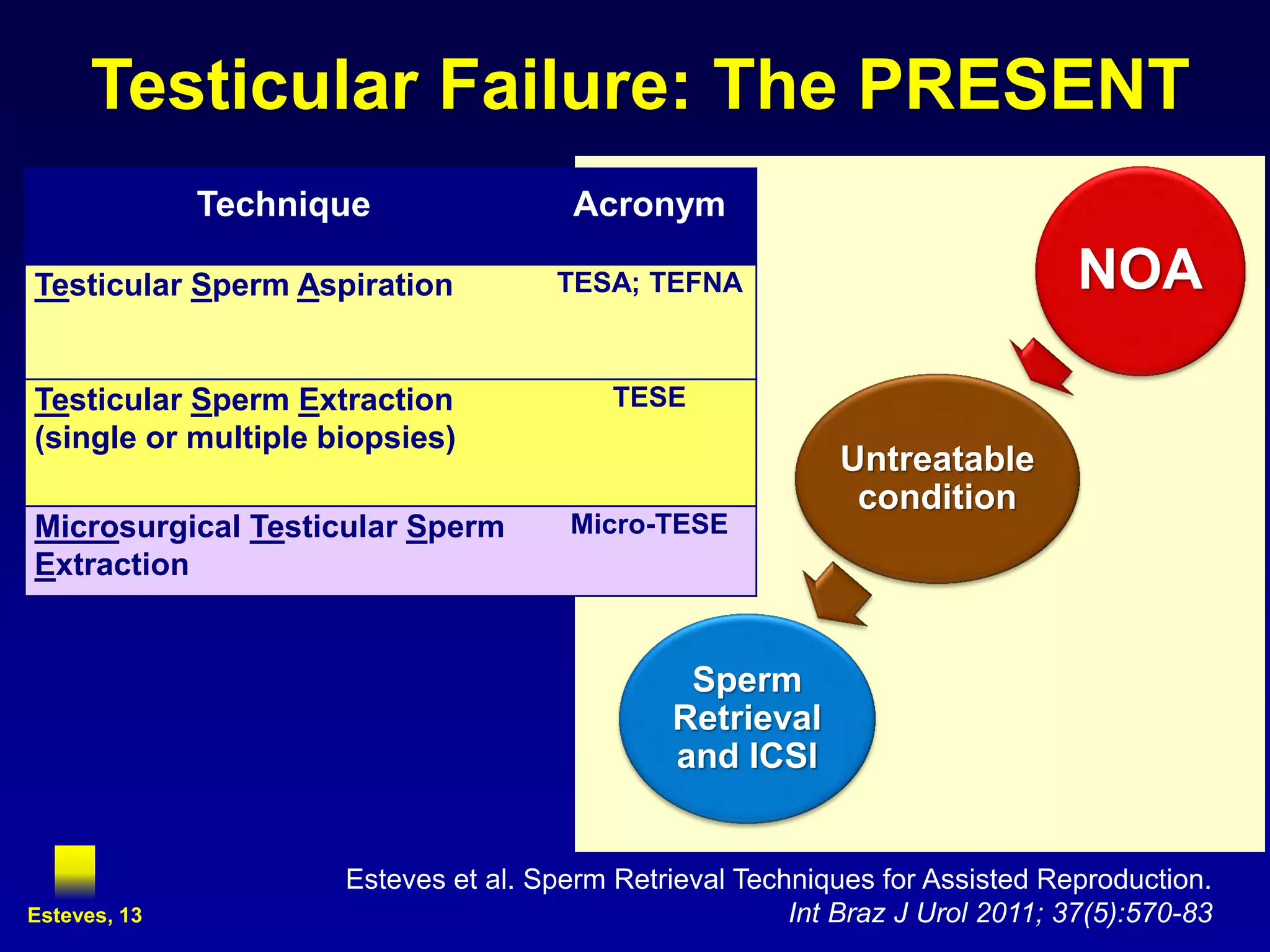 Testicular Failure and Male Infertility - New Insights and Evolution of ...