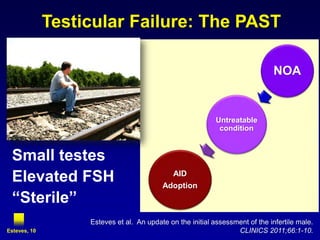 Testicular Failure and Male Infertility - New Insights and Evolution of ...