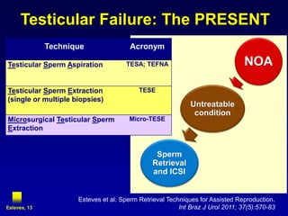 Testicular Failure and Male Infertility - New Insights and Evolution of ...