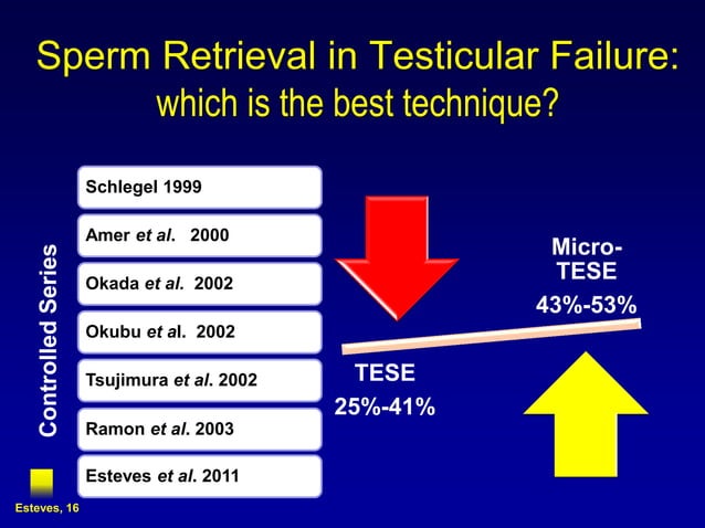 Testicular Failure and Male Infertility - New Insights and Evolution of ...