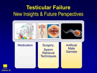 Testicular Failure and Male Infertility - New Insights and Evolution of ...