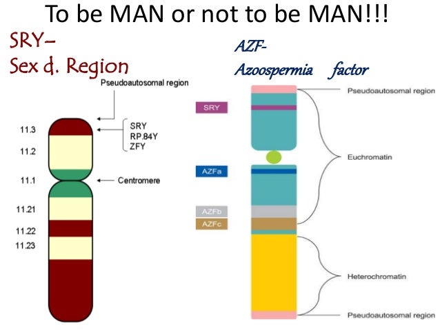 Testicular Feminization Syndrome