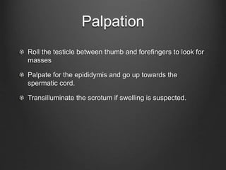 Testicular pain in emergency | PPTX