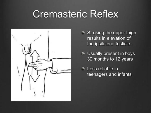 Testicular pain in emergency | PPTX